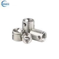 China High Strength SS304 Quality Steel Metric M4 M6 M8 M10 M16 Self Tapping Thread Insert for sale