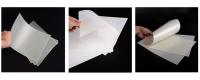 China PP PS Plastic Film Roll 0.2-2.0mm Thickness 410-760mm Width for Vacuum Forming for sale