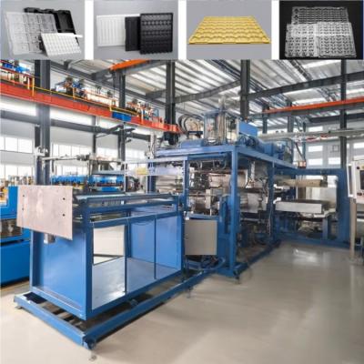 China Used Plastic Vacuum Forming Machine 1220x710mm 380V Seedling Tray Thermoforming for sale