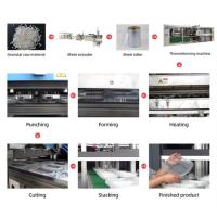 China Fully Automatic Plastic Thermoforming Machine 680x500mm Molding Area for PP PS PET Food Packaging for sale