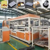 China Fully Automatic Three-Station Thermoforming Machine for Plastic Egg Tray Production Zero Risk Guarantee Included for sale