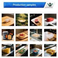 China Fully Automated Plastic Thermoforming Machine for Food Containers for sale