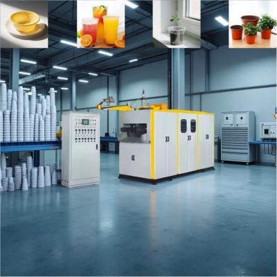 China Low Price High Quality plastic cup thermoforming machine for sale
