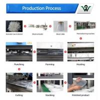 China Fully Automated Plastic Thermoforming Machine for Food Containers for sale