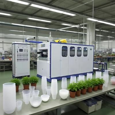 China PLC Controlled Plastic Thermoforming Machine 730mm Width for Disposable Cups CE Certified for sale