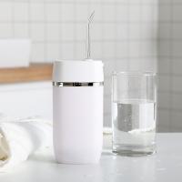 China Deep Clean Portable Cordless Water Flosser Mini 3 Modes 2 Jet Tips for sale