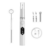 China Professional USB LED Light Built In Ultrasonic Tooth Cleaner Portable Dental Electric Scaler Electric Tooth Cleaner for sale