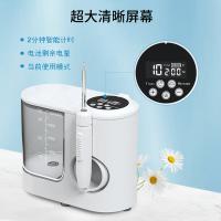 China Timer Yes Electric Dental Water Flosser for After-service Valid Within 12 Months of Customizable Settings for sale