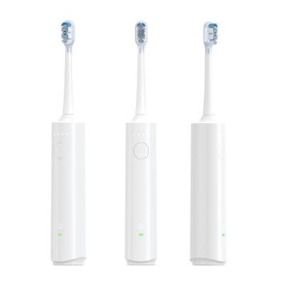 China 2 IN 1 Long-Lasting Electric Toothbrush For clean teeth can Use 20 days for sale