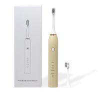 China Antibacterial USB Electric Sonic Toothbrush With Timer For Adults Portable for sale