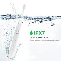 China ABS 2 Modes  Rechargeable Electric Toothbrush Wear Resistant for sale
