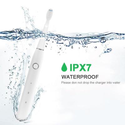 China ABS 2 Modes  Rechargeable Electric Toothbrush Wear Resistant for sale