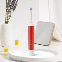 China FDA Waterproof Spin Brushes For Teeth , 2W Sonic Battery Powered Toothbrush for sale