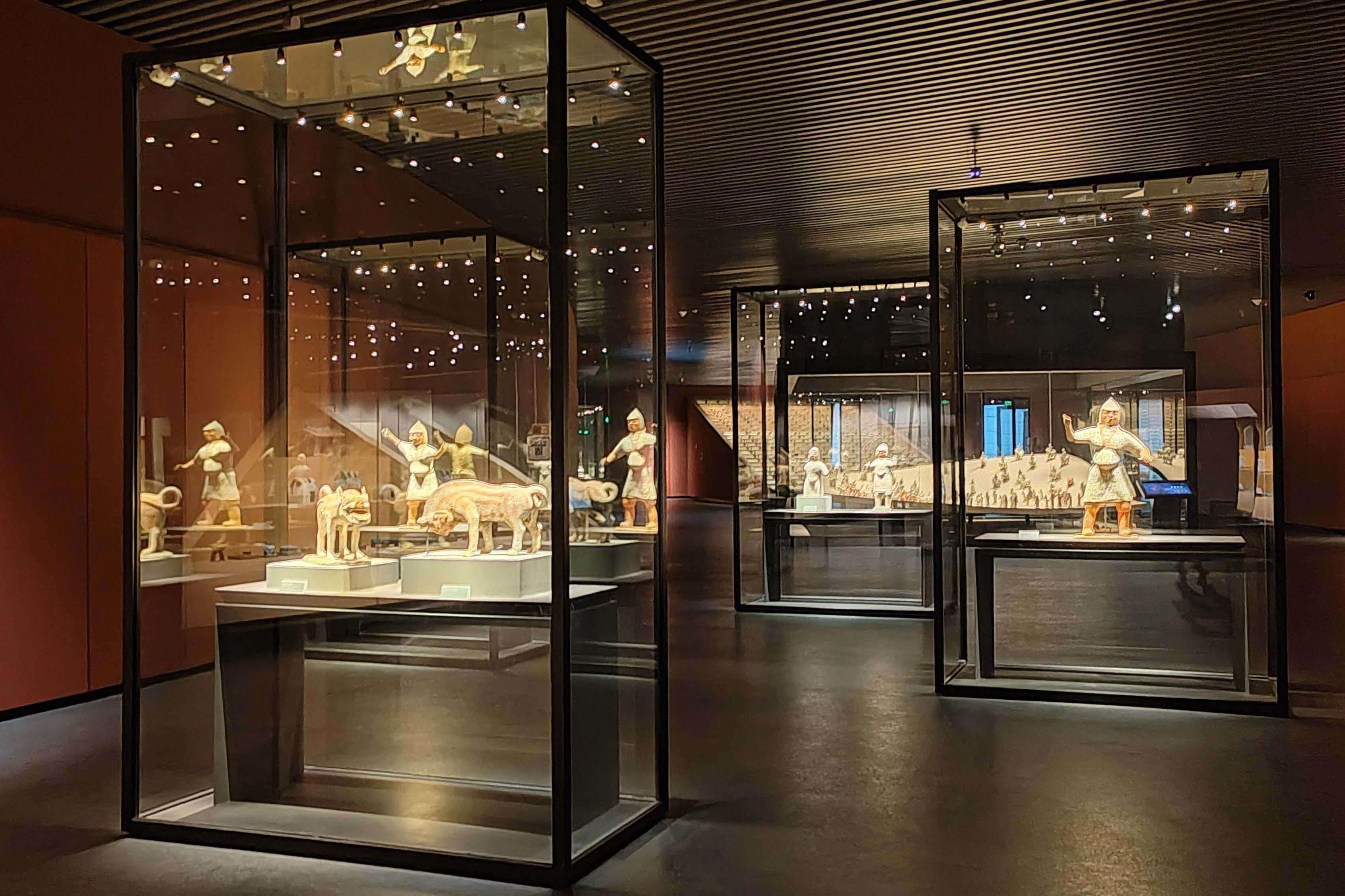museum display case manufacturer