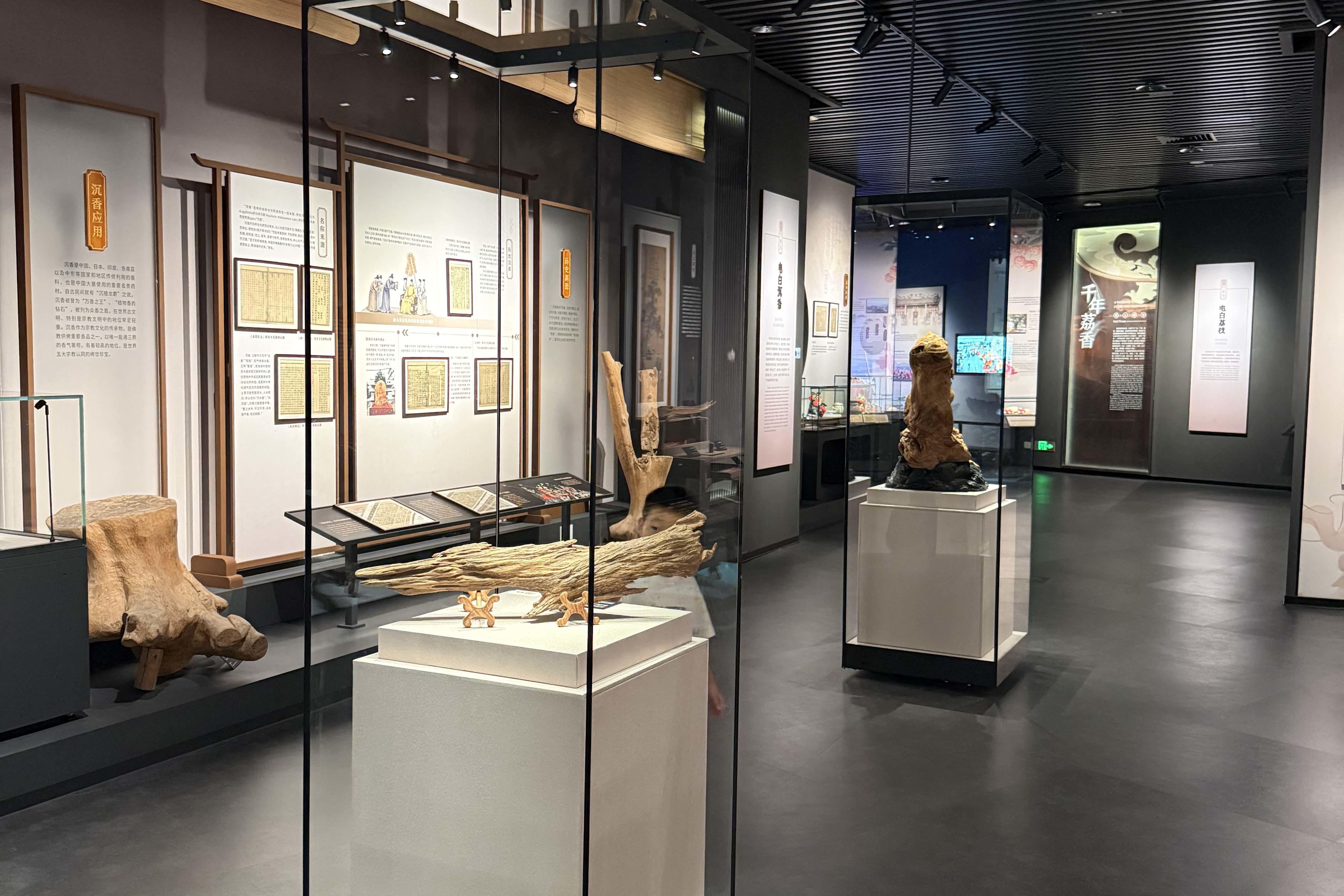 museum display cabinet design
