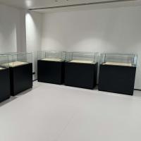China Museum Glass Display Cabinet Display Cabinet For Counter, 5 Sides Glass, 360 View for sale