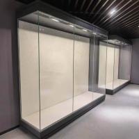 China Custom Large Against The Wall Display Cabinet Museum Display Cabinet for sale