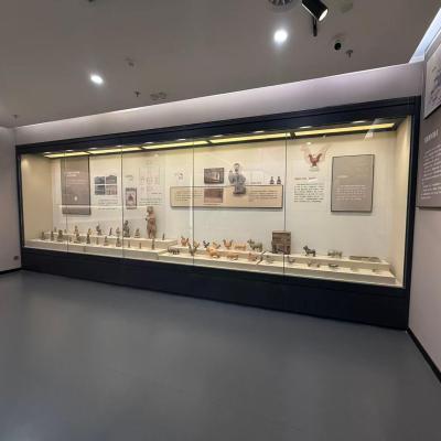 China Museum Wall Display Cabinet Large Presentation Case, Wall-fixed Or Recess, Electric Glide, Climate, Top for sale