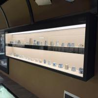 China Hanging Display Case, Hanging wall case, compact, stand-alone or row, for supplement,Museum Display Case for sale