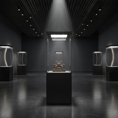 China Museum Grade Freestanding Display Cabinet Anti Theft Showcase For Museum Exhibition for sale