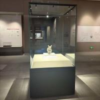 China Custom Modern Museum Glass Display Case For Science Museum Exhibits Display Equipment for sale