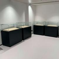 China Micro Environment Controlled Glass Display Showcase Free Move For Museum for sale