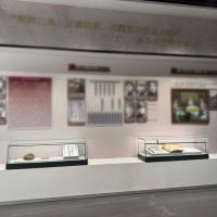 China Frameless Museum Style Display Case Multi Purpose Collectors Museum Display Cases for sale