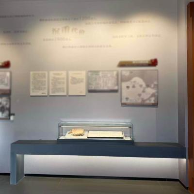 China Full View Museum Exhibit Cases Lay Flat Custom Museum Display Cases for sale