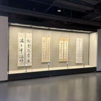 China Museum Wall Display Cabinet Expansive Case, On-wall Or Recess, Automated Entry, Stabilizer, Main for sale