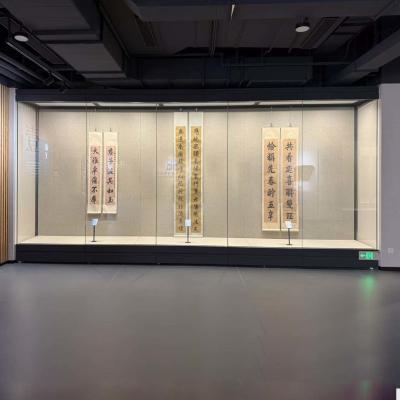 China Museum Wall Display Cabinet Expansive Large Cabinet, External Or Flush, Motorized Glass, Climate, Core for sale