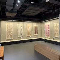 China Adjustable Wall Display Cabinet Easy Installation Dust Free For Exhibitions for sale