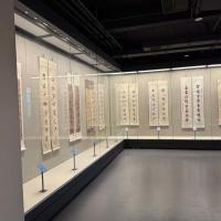 China Museum Wall Display Cabinet Spacious Wall Vitrine, Surface Or Recessed, Power-slide, Control, Central for sale