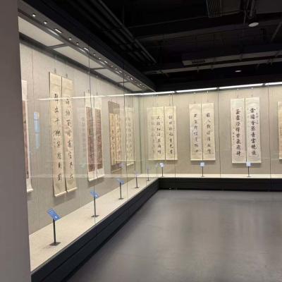 China Museum Wall Display Cabinet Spacious Wall Vitrine, Surface Or Recessed, Power-slide, Control, Central for sale