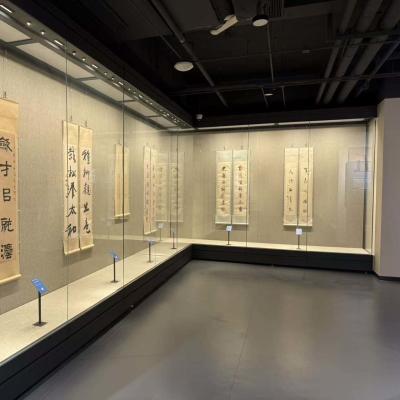 China Museum Wall Display Cabinet Spacious Big Presentation Case, Wall-fix Or Built, Automatic Open, Micro, Prime for sale