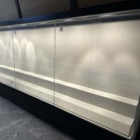 China Museum Wall Display Cabinet Large Wall Unit, On-wall Or In-wall, Electric Glide, Climate,Museum Display for sale