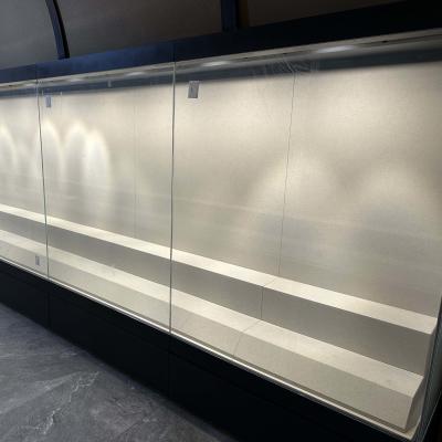 China Museum Wall Display Cabinet Large Wall Unit, On-wall Or In-wall, Electric Glide, Climate,Museum Display for sale