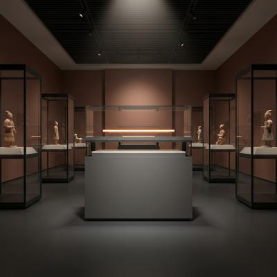 China Museum Display Case, Display case on counter, five panels, panoramic, climate unit, books for sale