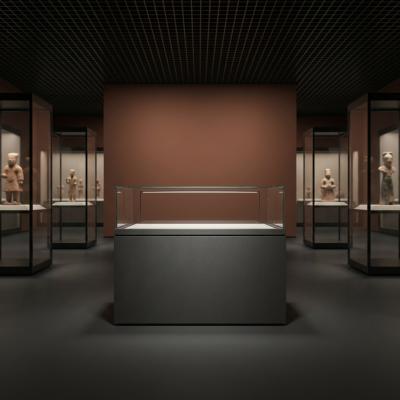 China Museum Display Case, Counter Display Unit, Glazed Five Panels, Complete Sight, Climate, Books for sale