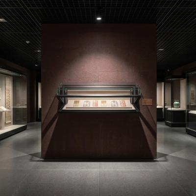 China Wall-hung Display Unit, Space-saving, One Or Chain, Perfect For Side,Museum Display Case for sale