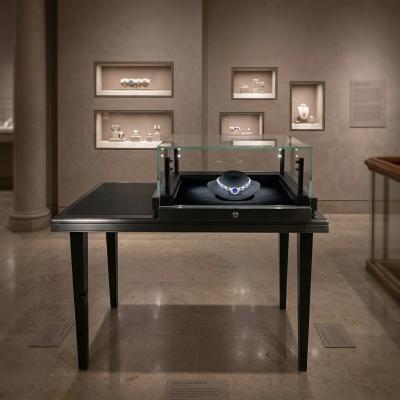 China Museum Display Cases Compact Desktop Vitrine, 5 Faces, Full View, Gel Pack, Books/letters for sale