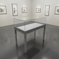 China Custom Table Display Cabinet, Table-style Showcase, Five Panes, All-angle, Gel Regulator, Books for sale