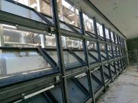 China Customized Glazing Bottom Hung Casement Windows Powder Coating for sale