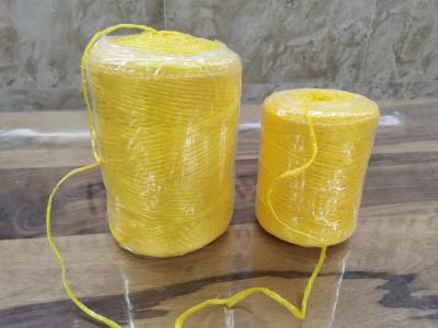 China High Tenacity Tanzania 2mm Polypropylene Baler Twine Yellow Color 18000D for sale