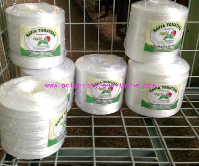 China Greenhouse Agriculture Packing Pp Twine Rope 1200m/Kg 1000m/Kg 2000m/Kg for sale