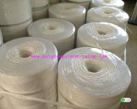 China Trellising Peppers And Tomatoes Twine 1200m/Kg 1000m/Kg Uv Stabilization 2% for sale