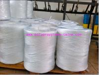 China 2MM Polypropylene Twisted PP Baler Twine For Square Hay Baler Machine for sale