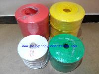 China UV Stabilized Polypropylene Twine with High Breaking Strength and Customized Colors for Agricultural Use for sale