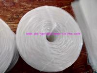 China Tomato Twine 6300 Ft - Heavy Duty Polypropylene Twine White for sale