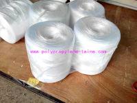China Tomato Twine 6300 Ft - Heavy Duty Polypropylene Twine White for sale