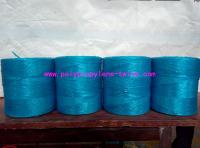 China High UV Protected Banana Twine Agricultural String Customized Free Sample for sale